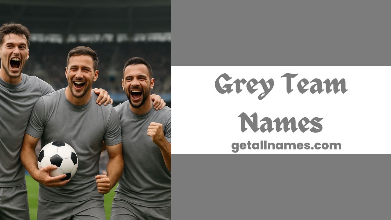 1700+ Ultimate Grey Team Names to Stand Out in Style - Get All Names